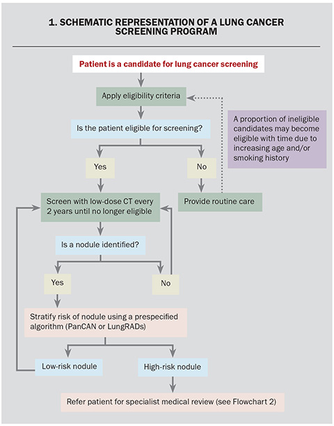 Lung cancer screening: an update for primary care | Medicine Today